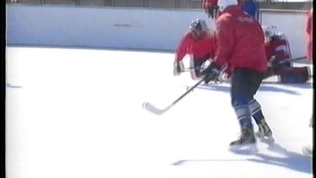 снежные узоры - Поспелиха 2010г