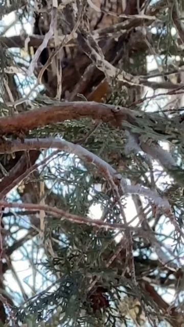 copy_41031364-7D7D-4C40-ABBB-211FE22E57E3