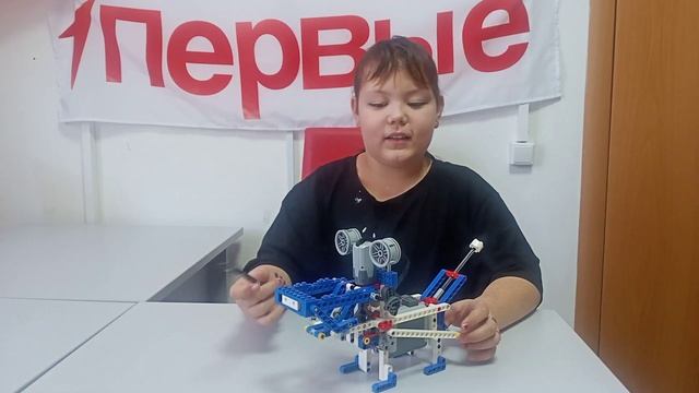 Выставка НТТ-2025. Болдырева Кристина, 10 лет. «Собака - Черлидинг»