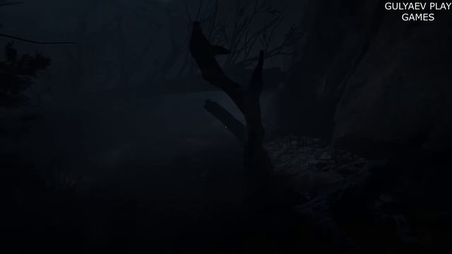 OUTLAST 2. Глава 3_ ПЛАЧ ИЕРЕМИИ.