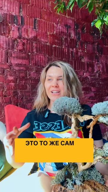 Животные и цетрария: что нужно знать