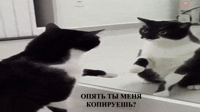 Пусть новый день приготовит тебе много приятных сюрпризов!