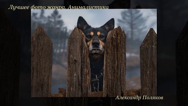 ИФД ЛФЖ ЖВН 01_2025