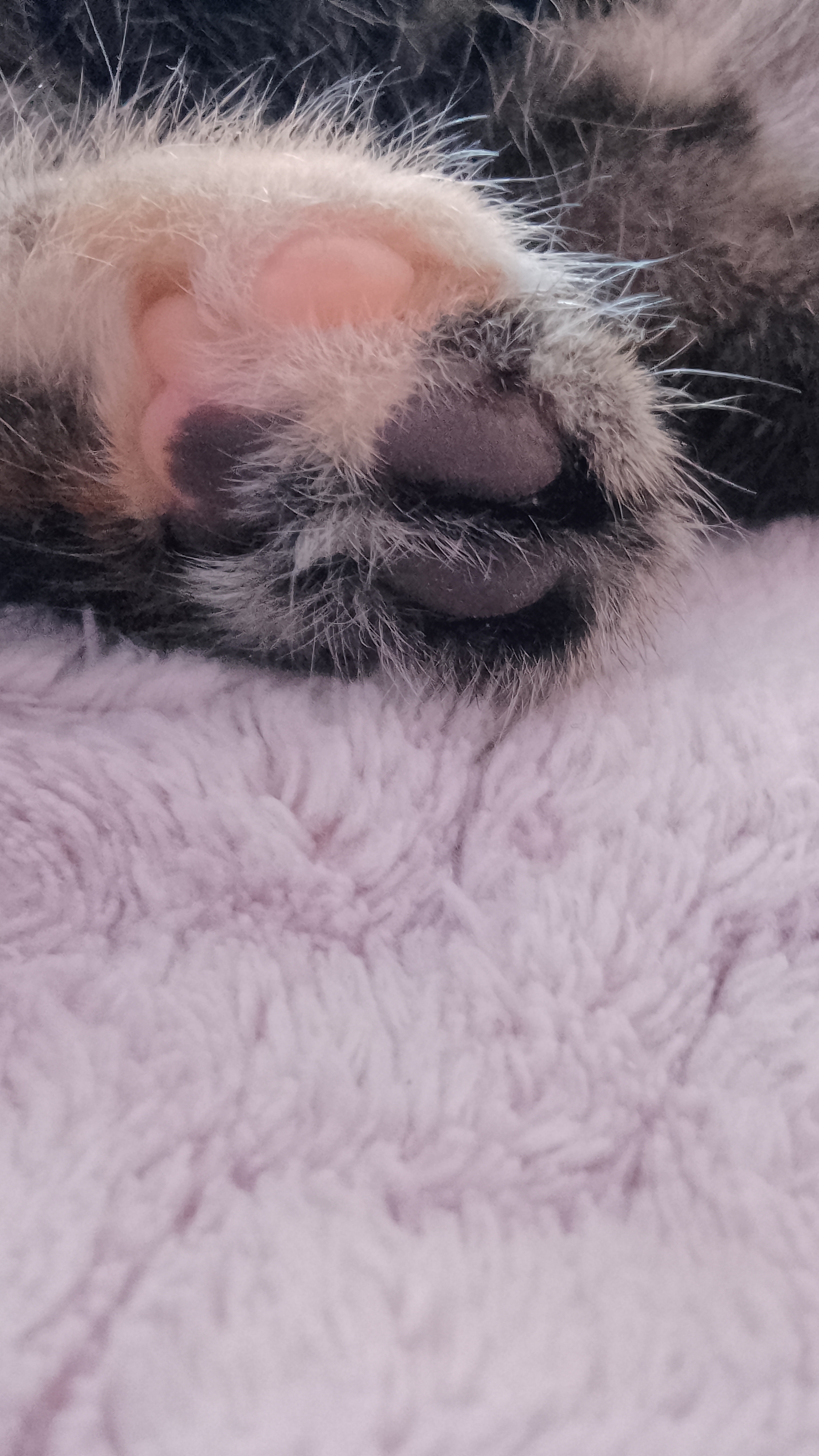 сидим с котом за диваном 😍