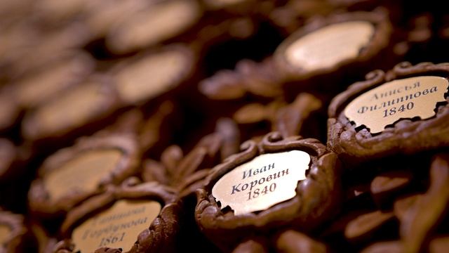 Родословное древо из массива тика