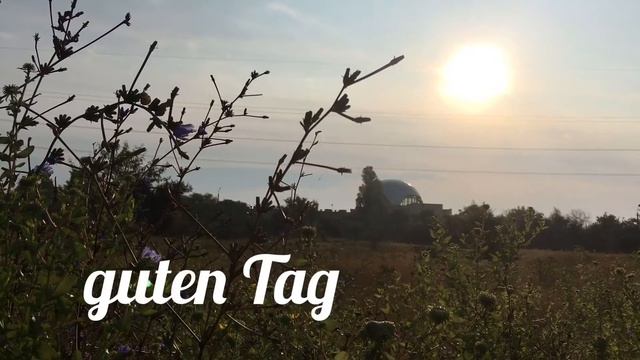 Wortschatz A1 ~ 29