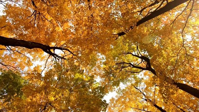 'Древлегорск' 'Святица' 'К тебе' 'Мы скоро встретимся с тобой!'