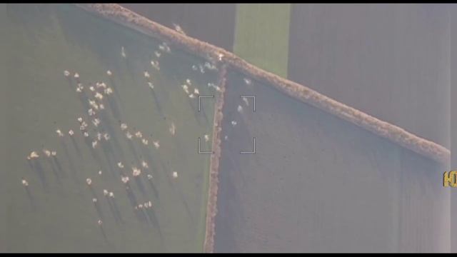 Накрытие кассетными боеприпасами огневой позиции РСЗО HIMARS недалеко от Константиновки, январь 2024