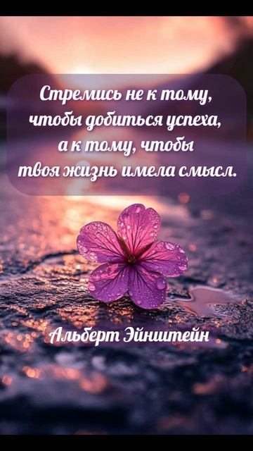 Стремись не к тому, чтобы добиться успеха, а к тому, чтобы твоя жизнь имела смысл. Альберт Эйнштейн