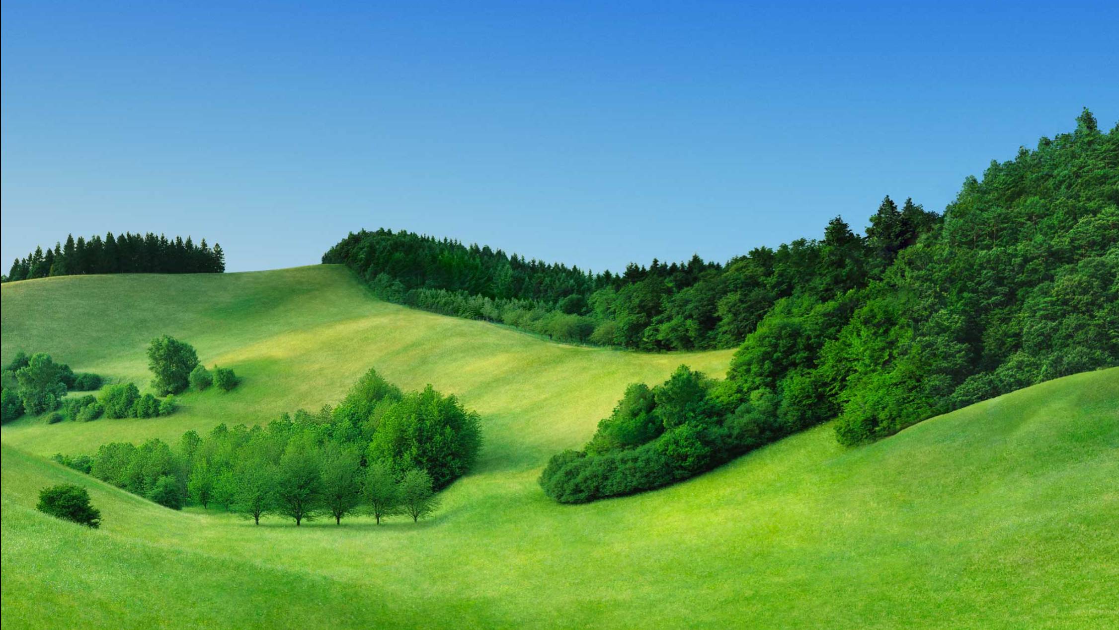 Сляпать: комикс