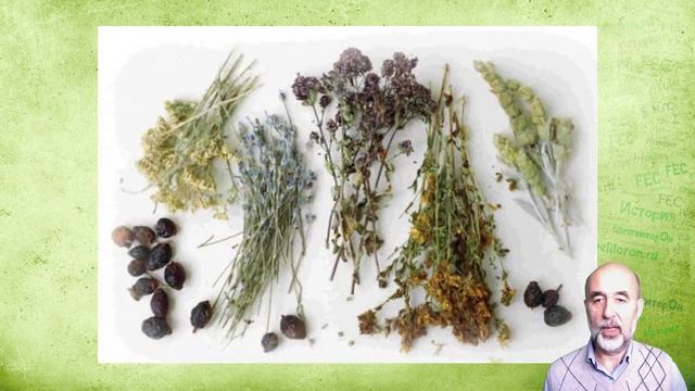 08-14. Культура и письменность Древнего Египта