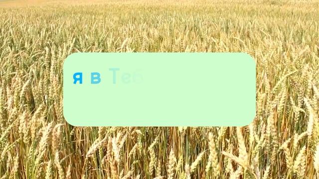 КОГДА ТЫ ВХОДИШЬ В ДОМ | Наталья Демашина
