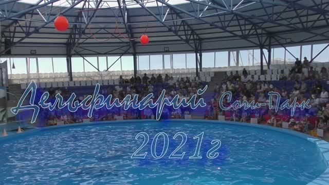 Дельфинарий Сочи -Парк