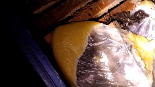 Февральский "морозко" - трейлер