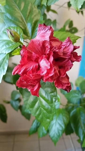 5 сентября 2022 г.