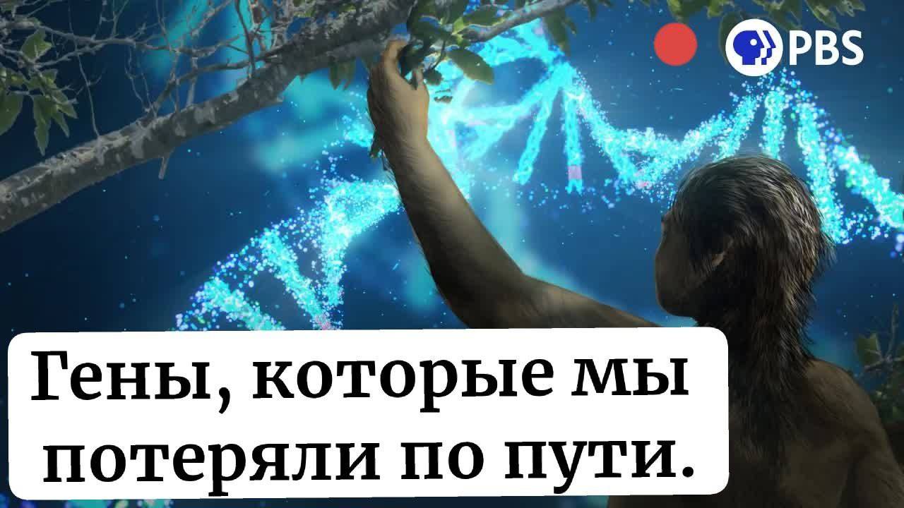 Гены, которые мы потеряли по пути