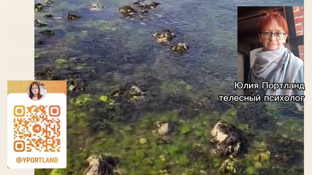 Мозг не любит позитивно мыслить - о рричинах, о жизни и изменениях