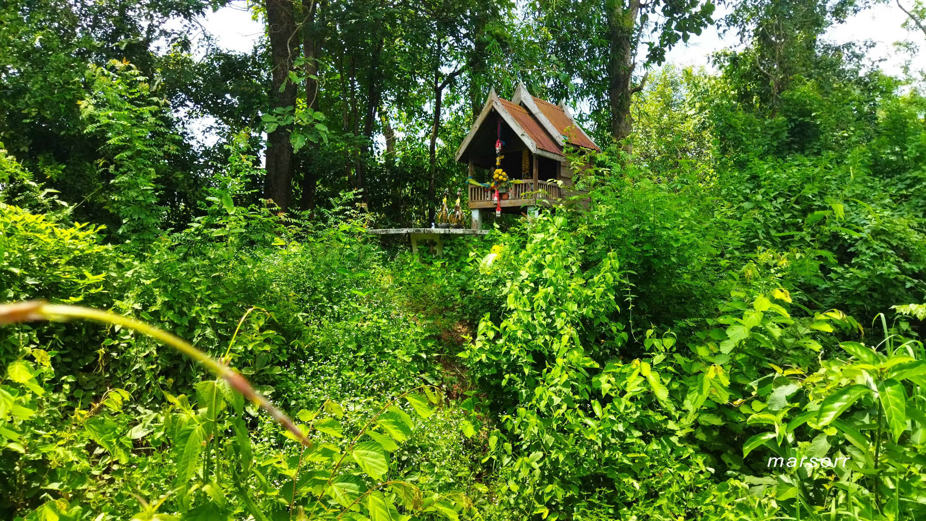 сукхотаи. просто развалины ч.3 природа, дорога sukhothai สุไขทัย по дорогам таиланда