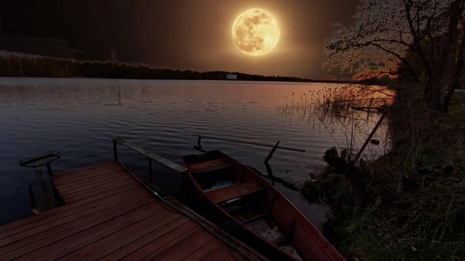 Отдых с роднёй и друзьями на берегу водохранилища. сентябрь 2024.