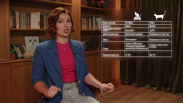 Видеоурок. ТОР-5 продуктов Royal Canin для кошек