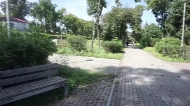 Сквер на Спортивной.