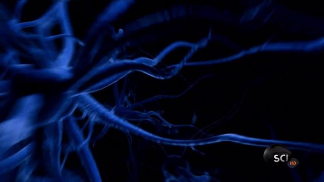 Сквозь пространство и время с Морганом Фрименом 2 сезон 1 серия (документальный сериал, 2010)