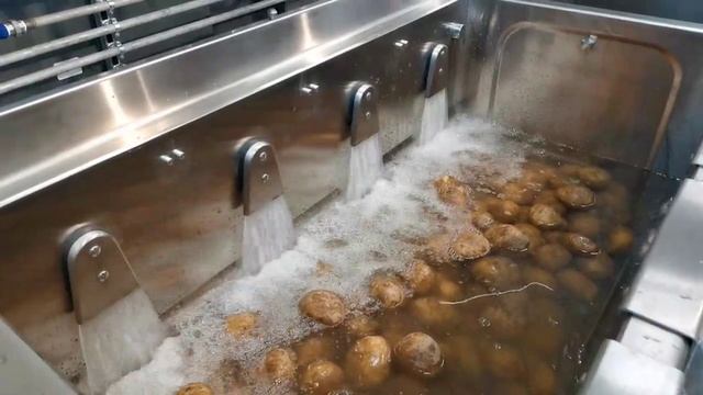 DREENER LINE - мойка картофеля