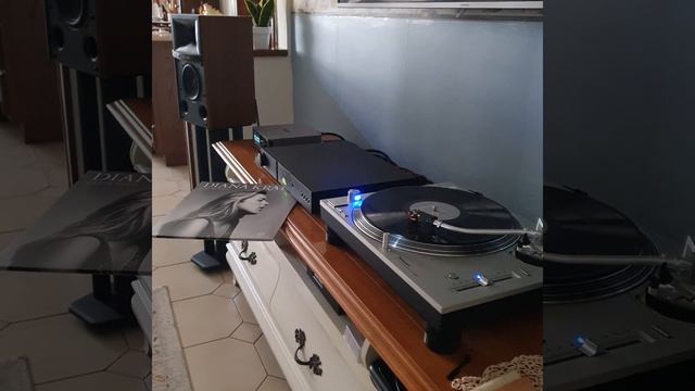 Diana Krall ☆ Live in Paris Vinyl