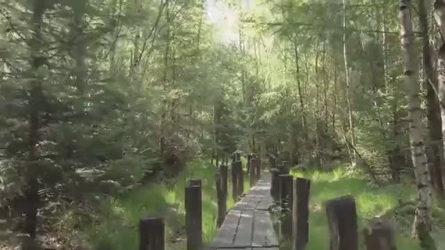 'Древлегорск' 'Святица' 'К тебе' 'Дождь о тебе' / Иней студио