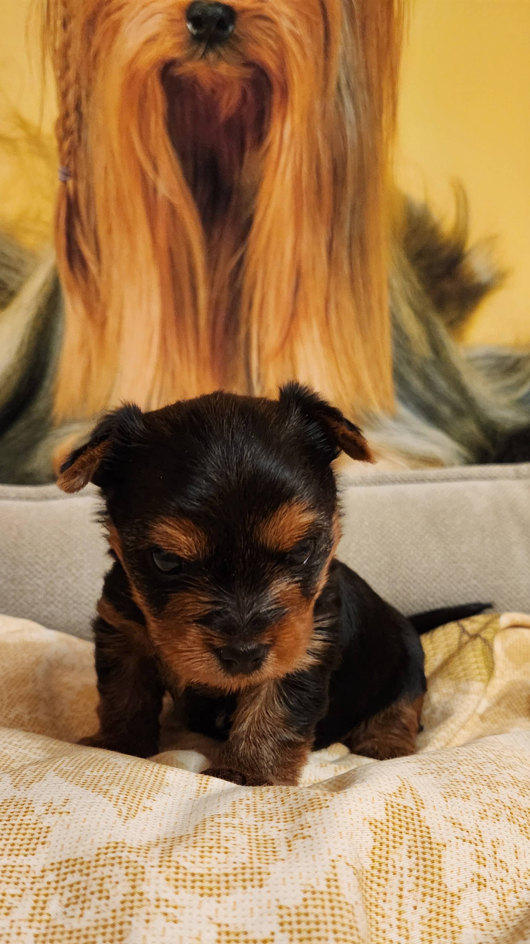 Первые попытки попрыгать