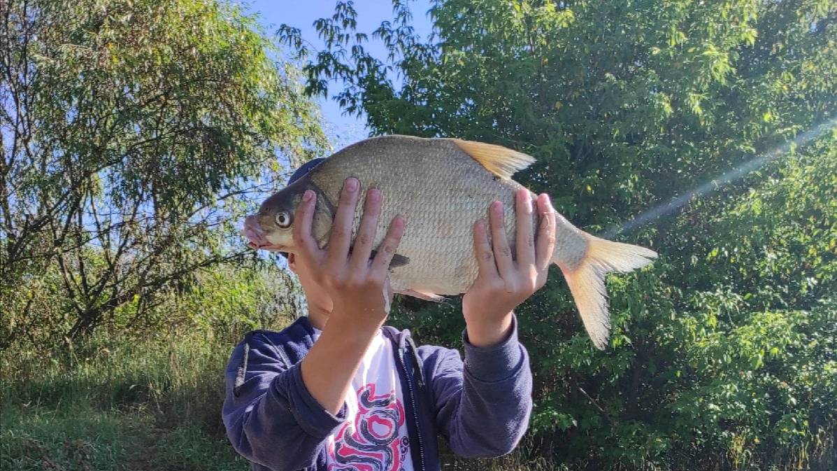 Монтаж донки: монтаж Тверской кормушки и снасти Пружина. Просто и эффективно!