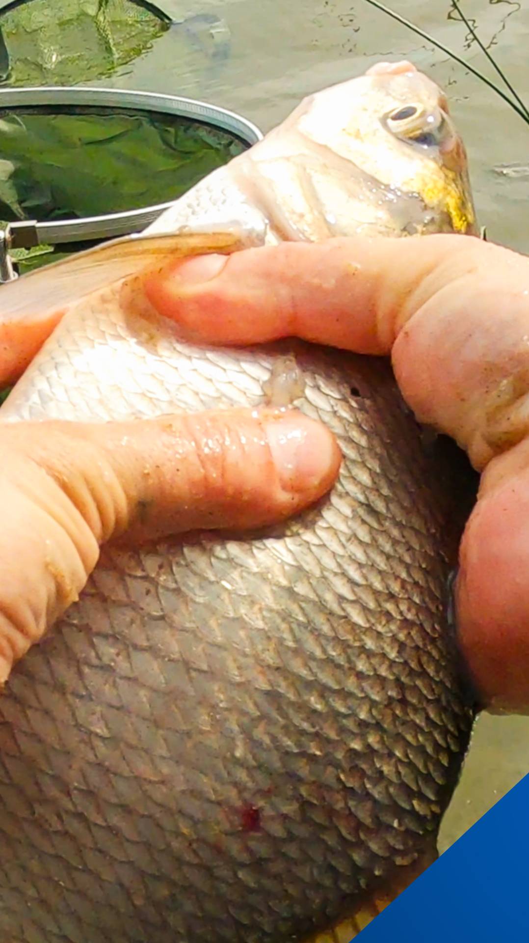 Почти / Случай на рыбалке