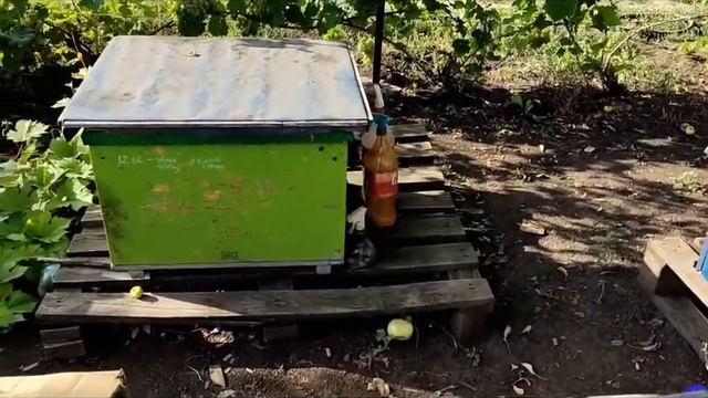 Мининуки самодельные  02 10 2021