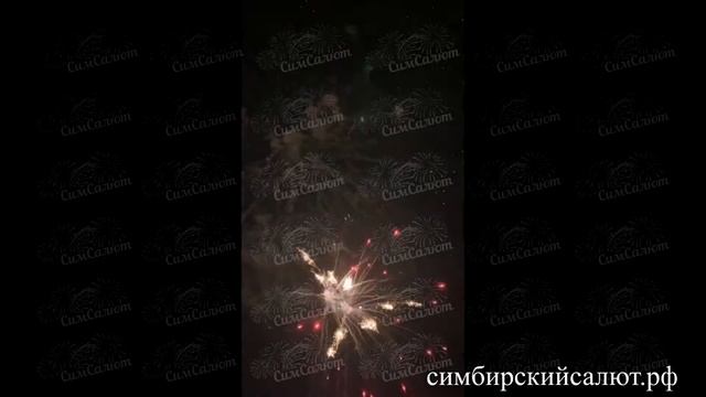 Профессиональный салют (№2108) (31)