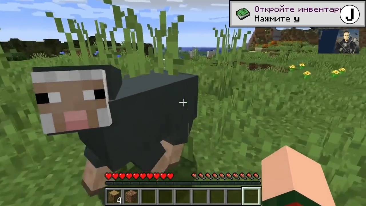 Maddyson - играет в Minecraft #1