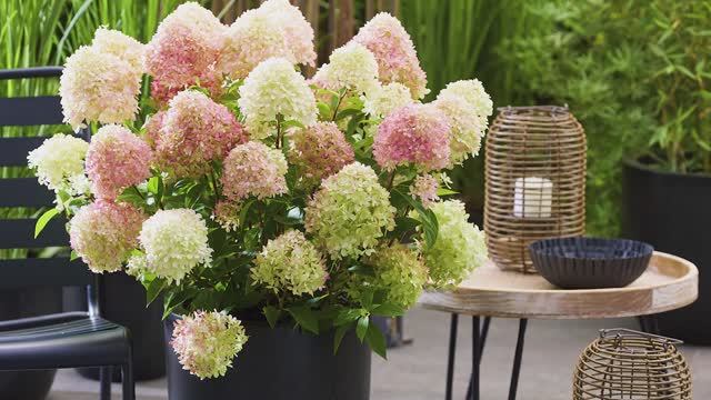 LOVE fest 9. Евгения Логинова