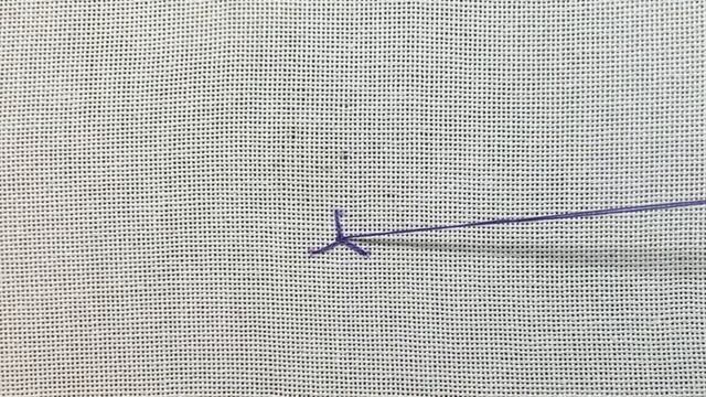 Розы на лучах