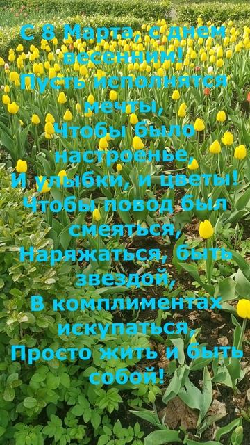 Девчонки, с праздником 8 Марта #8марта #праздник #женскийдень #март #весна #женскийдень #март2025