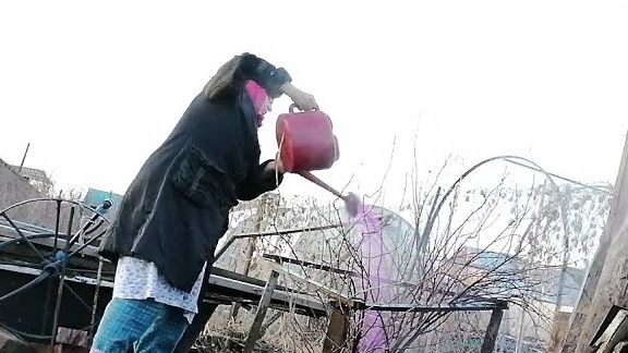 23.04.2024 Обливаю смородину/перебираю носки/радуга