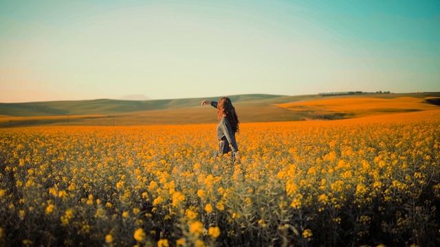 'Volkslied' 'Творческое содружество Листая небо' Екатерина Красикова 'Не вопреки, не ради и не для'