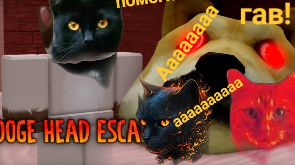 Люцифер кот подписка побег от собак