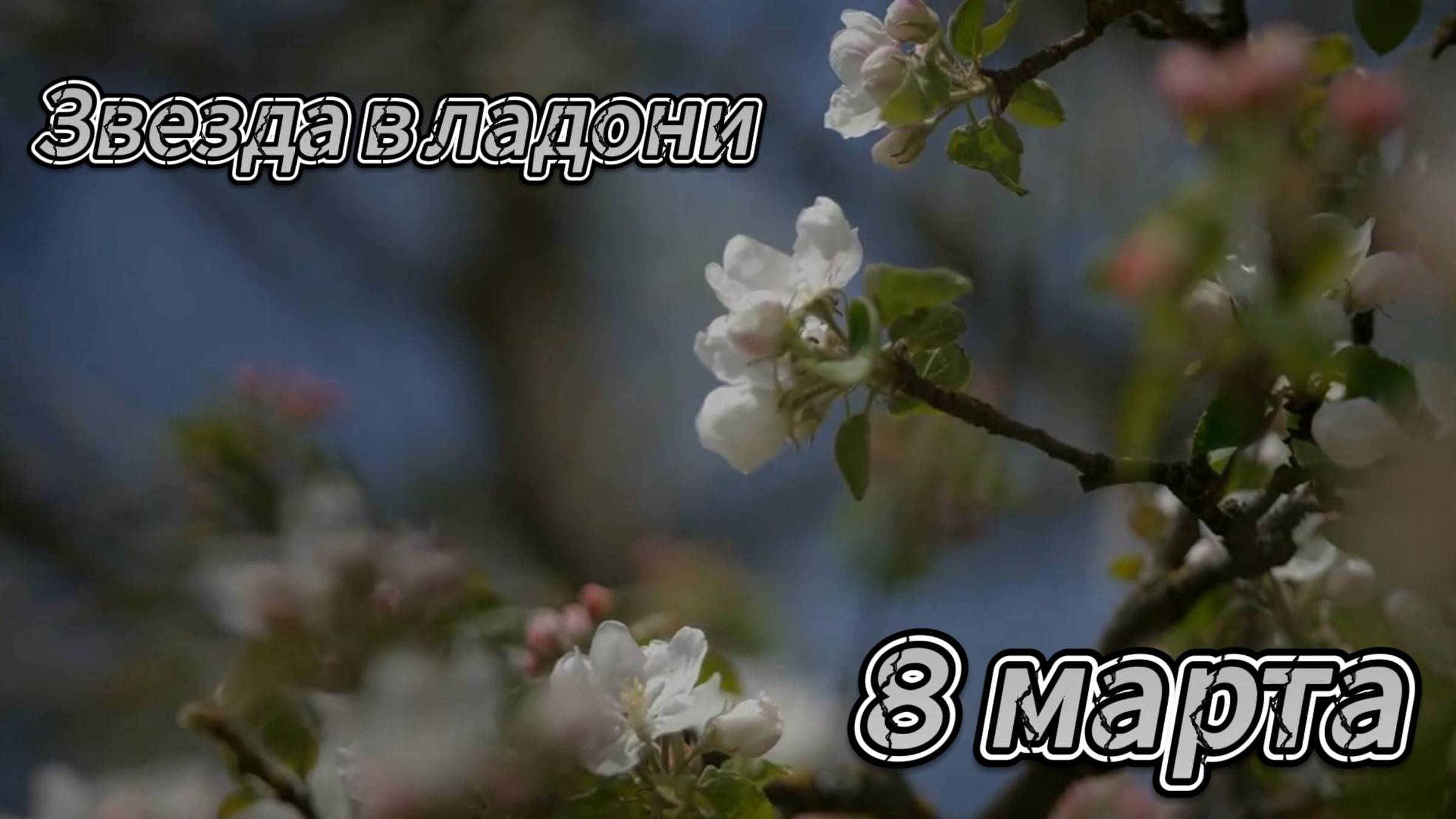 Звезда в ладони (8 марта)