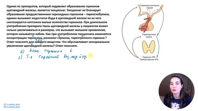 Задача 2 части на регуляцию работу щитовидки из СЛИВА ЕГЭ