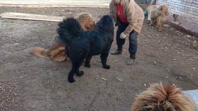 video_20191004_174043
