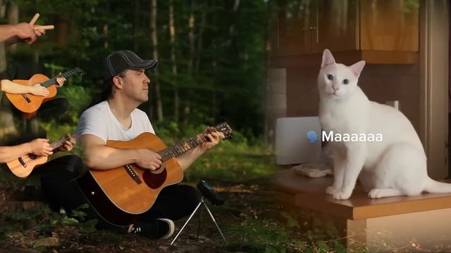 Mama Cat Song - The Singing Cat Catchy Tune