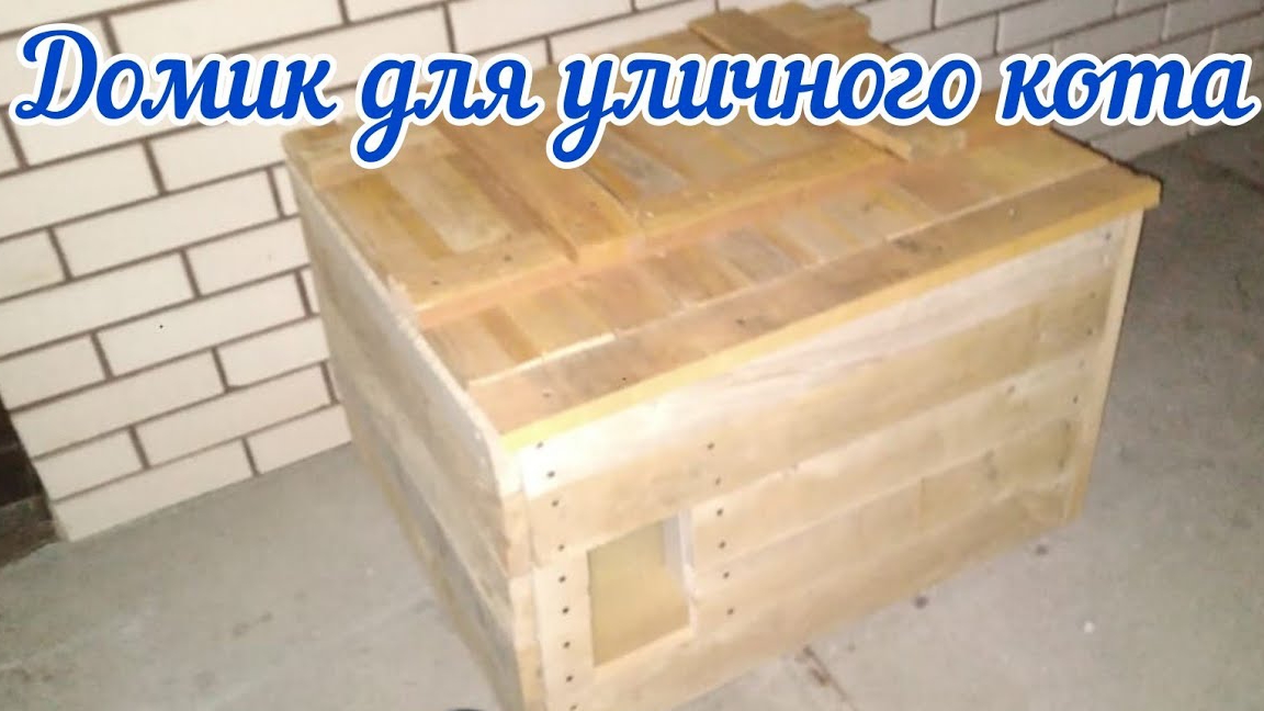 Домик для уличного котёнка с подогревом. Как сделать домик для котёнка своими руками за бесплатно