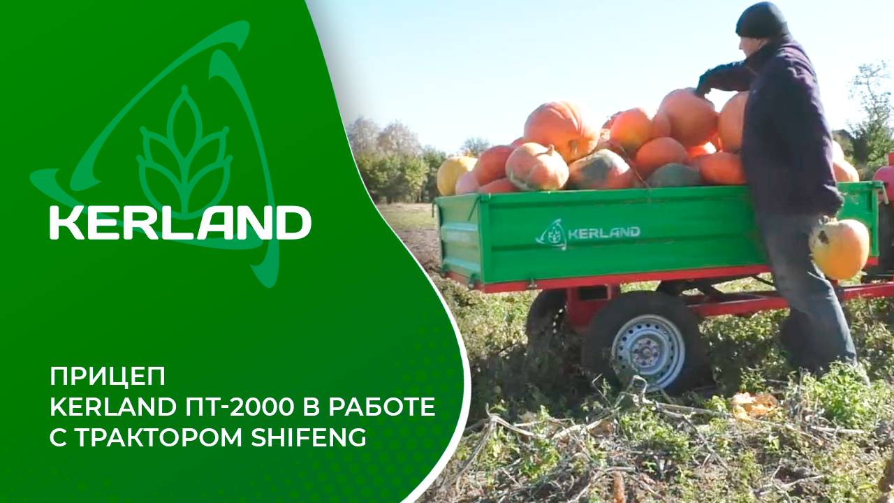 🔥 Прицеп Kerland ПТ-2000  в работе c минитрактором Shifeng SF-244• Обзор