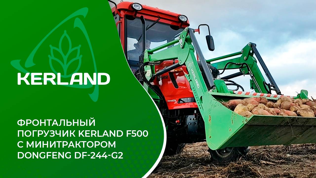 🔥Фронтальный погрузчик (КУН) Керланд F500 с DF-244С-G2 работа со свеклой