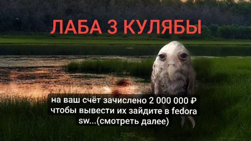 Лабораторная работа 3