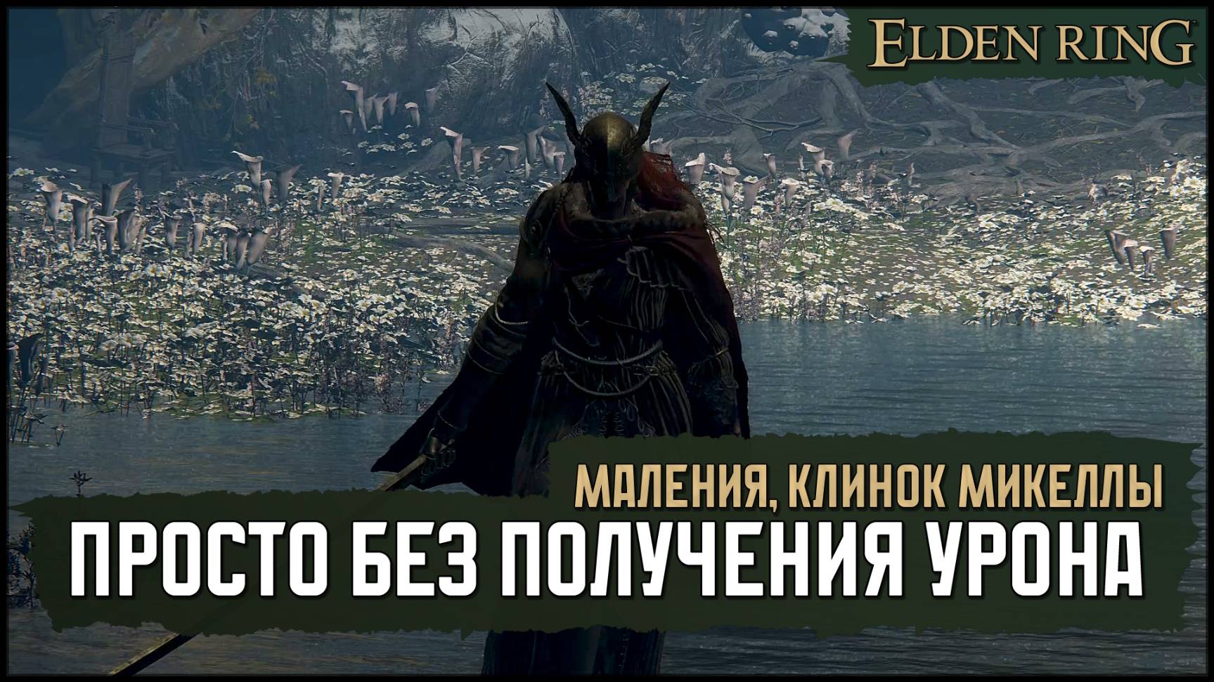 Забил Малению все-таки киркой (No-Hit) 🡆 Elden Ring